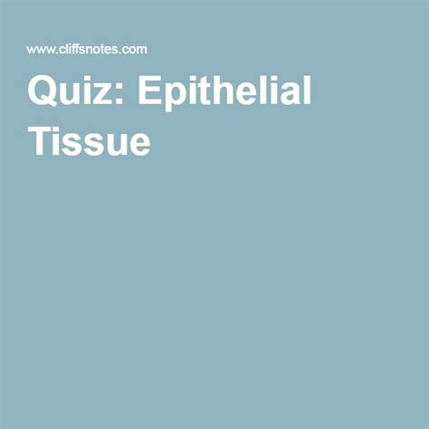 Quiz Epithelial Tissue Quiz Anatomy And Physiology Physiology