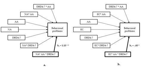 A Moderation Model With 2 Moderators Showing Significant Effects Of