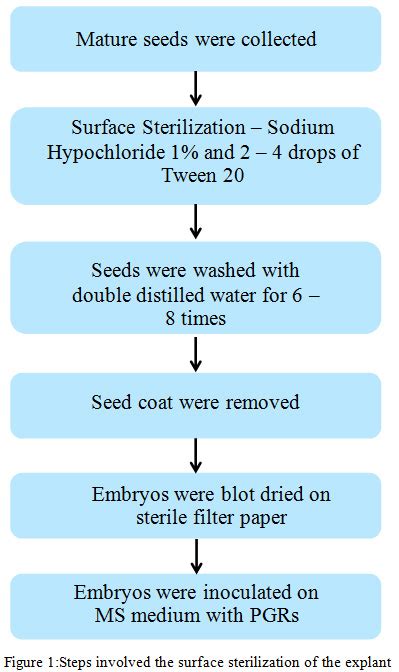 Factors Influencing In Vitro Germination And Seed Storage Behavior Of