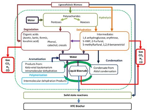 Htc Reaction Pathways For Lignocellulosic Biomass Note Liquid