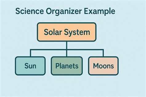 Graphic Organizer Templates ️ Example Of Graphic Organizer