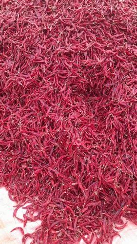 341 Guntur Dry Red Chilli At Rs 235 Kg Dry Red Chilli In Mahabubabad