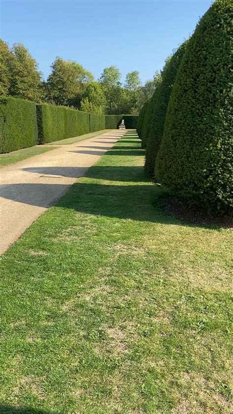 English Country Garden Artofit