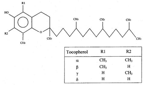 General Formula And Structure Of Tocopherols Download Scientific Diagram
