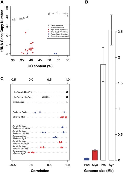 Genome Size Gc Content And Codon Usage Of Cyanobacteria And