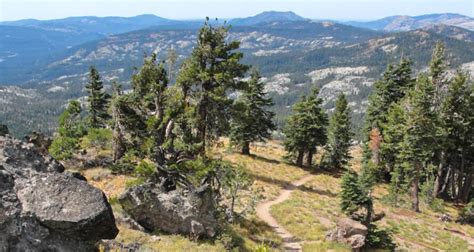Sierra National Forest Outdoor Science And Learning Forest Service