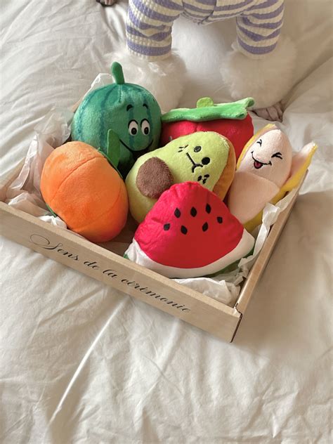 강아지장난감 과일선물세트 명절 생일