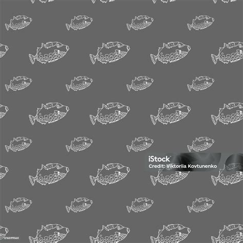 광대 트리거 물고기 원활한 패턴 손 그리기 스케치 회색 배경의 흰색 윤곽선입니다 벡터 그림입니다 Eps10 그리기에 대한 스톡 벡터 아트 및 기타 이미지 Istock