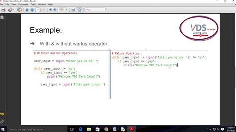 Walrus Operator Youtube