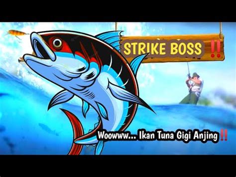 STRIKE IKAN TUNA GIGI ANJING BERTUBI TUBI BOSS YouTube