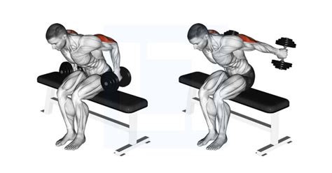 Dumbbell Squeeze Bench Press Guide Benefits And Form