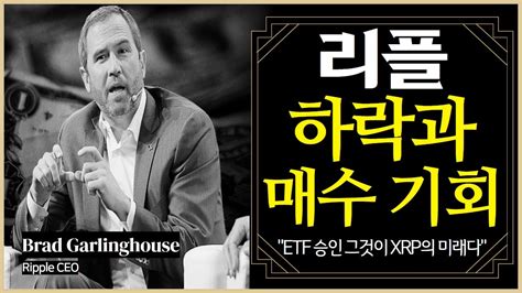 리플 Xrp 하락과 매수 기회 Etf 승인 그것이 Xrp의 미래다 Youtube