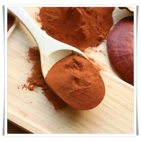 The Best Benefits Of Ganoderma Lucidum Bc Educate