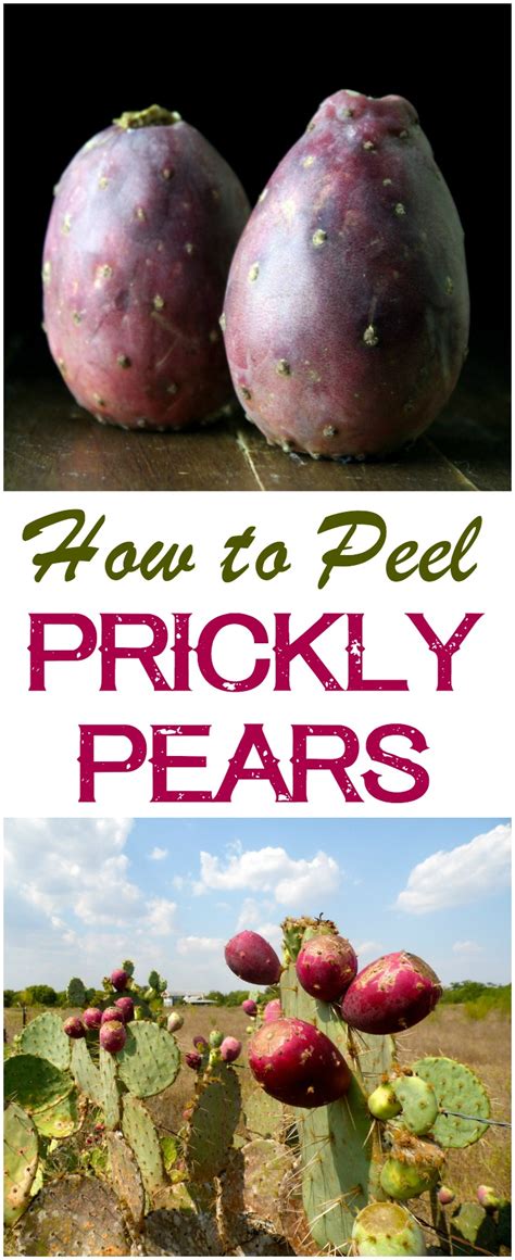 How To Peel A Prickly Pear