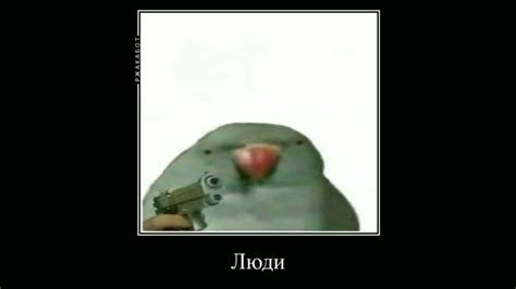 птичка спой песенку 🙏🙏🙏🙏 - YouTube