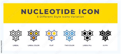 Nucleotide Icon Set With Different Styles Vector Illustration Stock