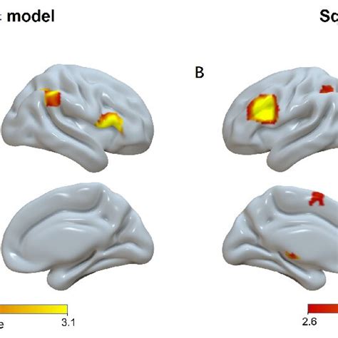 Significant Clusters Voxel Wise Fwe Corrected P