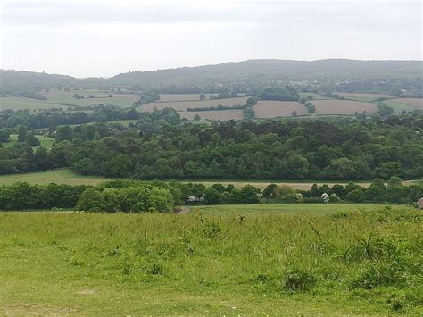 Effingham Forest And Netley Heath Gay Outdoor Club