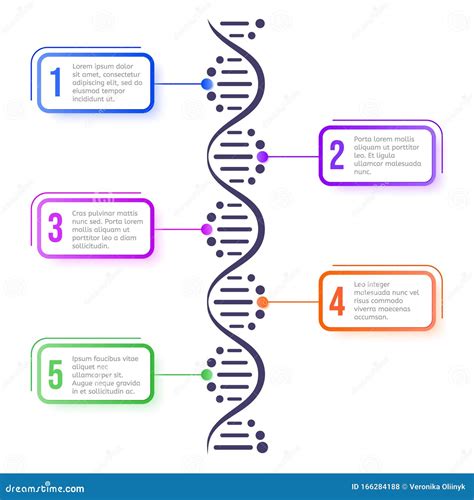 Dna Molecule Concept Abstract Diagram Molecule Helix Spiral Structure