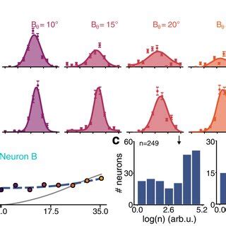 Single Neuron Tuning Correlates With Input Variance Additional Examples Download Scientific