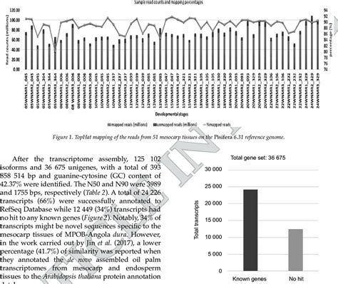summary of transcripts annotated to the plant reference sequence