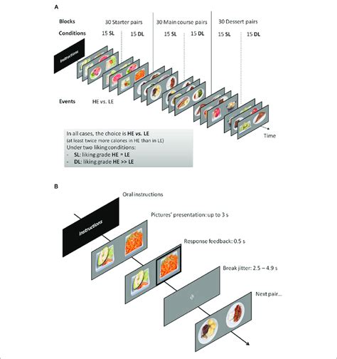 A Functional Mri Fmri Task General Work Plan Sl Similar Liking Download Scientific