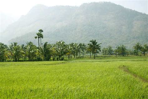 Palakkad District Palakkad Tourism Palakkad Kerala Hotels In