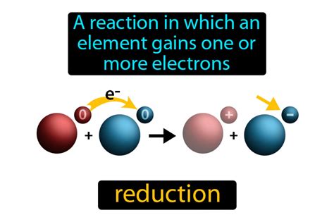 36 Facts About Reduction Analysis