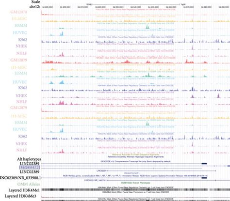 A Cck 8 Assay To Evaluate The Ic50 Of A549 And A549 R Cisplatin