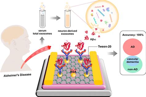 Nanosensor Driven Detection Of Neuron Derived Exosomal Aβ42 With Graphene Electrolyte Gated