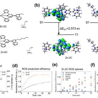 A Structures Of Zn NC Zn 2C And Zn 6C B Molecular Orbital Energy Download Scientific