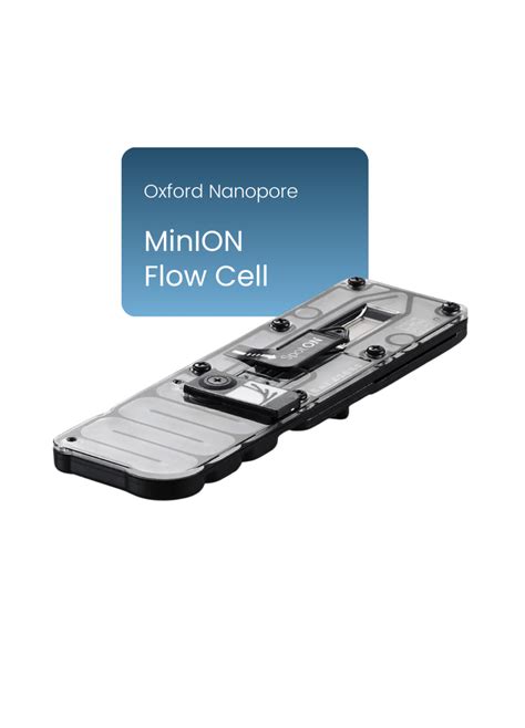 Flow Cells L Massive Bioinformatics