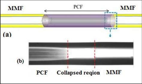 A The Smf Pcf Smf Sensors Schematic Diagram B The Smf Pcf Fusing