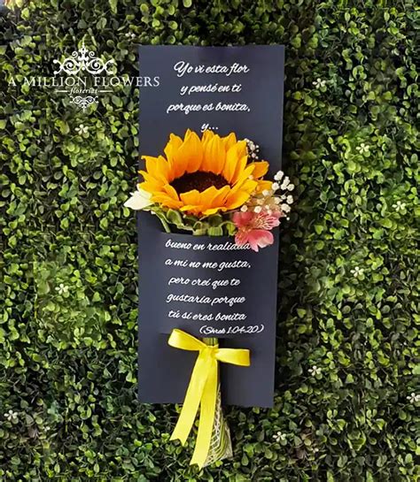 Top Imagen Frase De Shrek Con El Girasol Abzlocal Mx