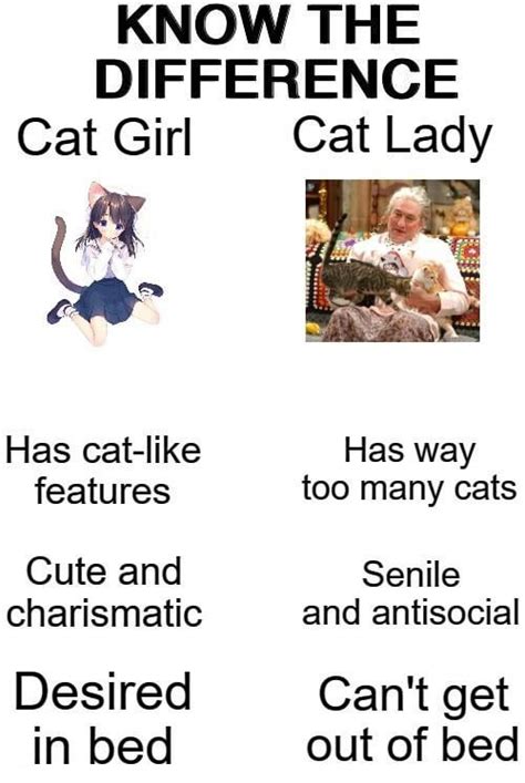 Cat Girl Vs Cat Lady Rmemes