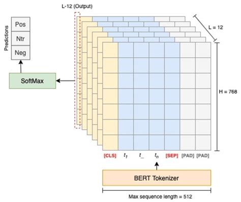 Bert Fine Tuning For Sentiment Analysis Download Scientific Diagram