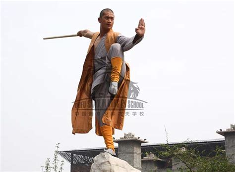 Shaolin Master Shi Yan Jia Qufu Shaolin Kung Fu School