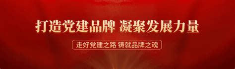 红色品牌的灵魂探索：揭秘党建品牌的真谛