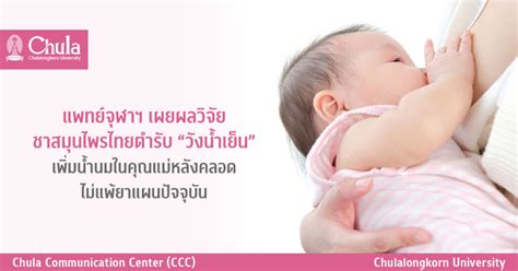 แพทย์จุฬาฯ วิจัยพบชาสมุนไพรไทยสูตรวังน้ำเย็น ช่วยเพิ่มน้ำนมให้คุณแม่