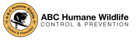 Abc Humane Wildlife Control And Prevention
