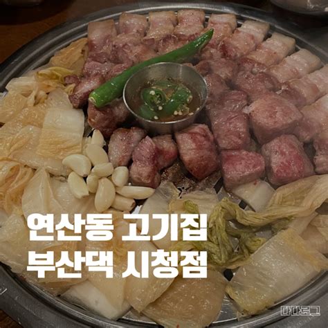부산 시청 고기집 연산동 부산댁 회식장소 추천 맛집 네이버 블로그
