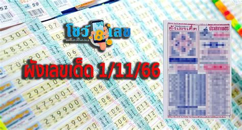 ผังเลขเด็ด 1 11 66 แนวทางหวยรัฐบาลไทย เลขเด็ด เลขดัง แจกฟรี