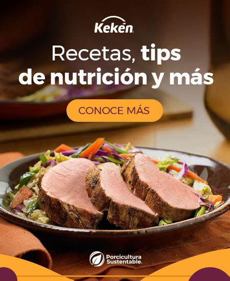 El Origen De La Porcicultura En México Kekén Porcicultura Sustentable