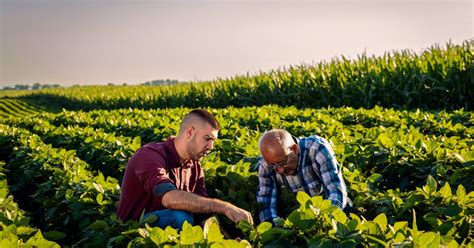 Cig Grantees Natural Resources Conservation Service