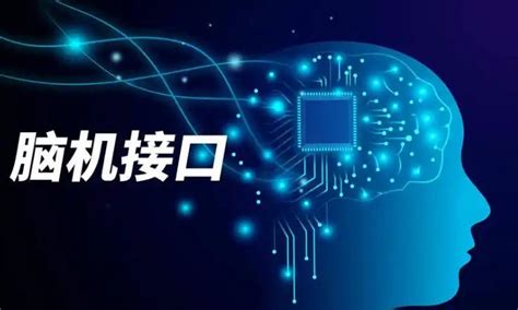 脑机接口政策端利好不断，特斯拉 Meta 微美全息加速技术创新与产业飞跃 新浪科技 新浪网