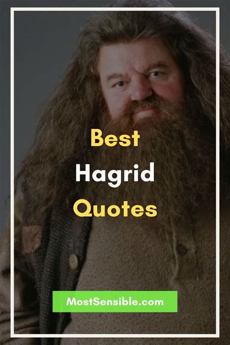 Best Hagrid Quotes From Harry Potter Hagrid Quotes Hagrid Harry