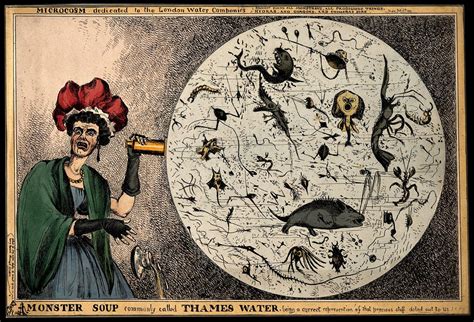 How The Thames Once A Zombie River Was Brought Back To Life Atlas