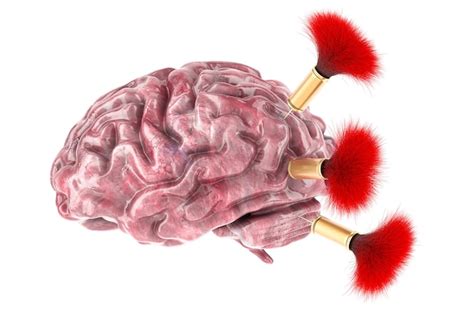Premium Psd Human Brain With Tranquillizer Darts 3d Rendering