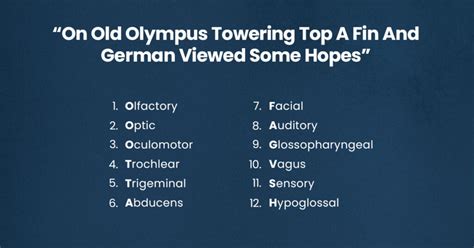 How To Remember 12 Cranial Nerves With Mnemonics