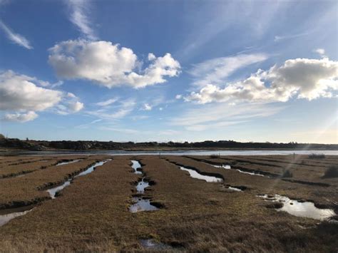 Arwel Owen On Linkedin Sapongcp Saponazure Saponaws Finops Greenit Sapbasis Sap Cloud